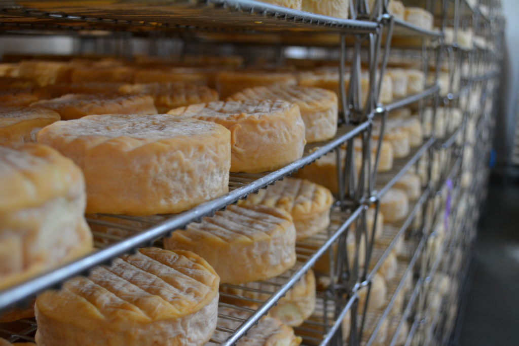 L’affinage - Gaugry Fromager